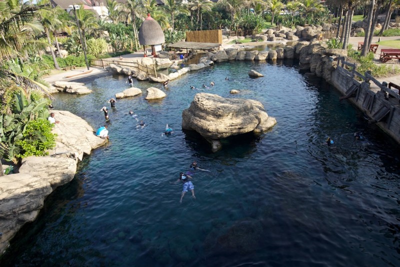 Innovative date idea: Snorkeling at UShaka Marine World