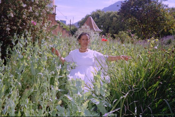 South African Exhibitions That Will Be Great to Look Back On