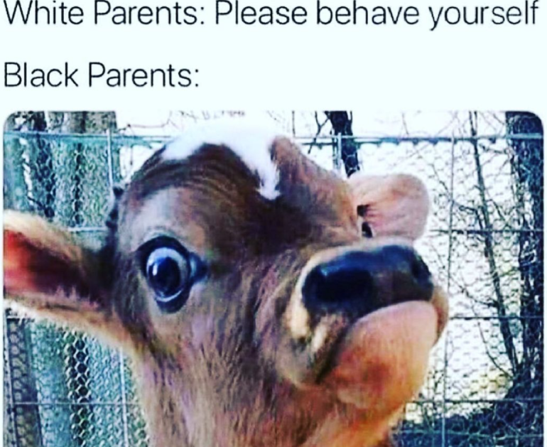 7 South African meme pages that give you joy on the social streets ...