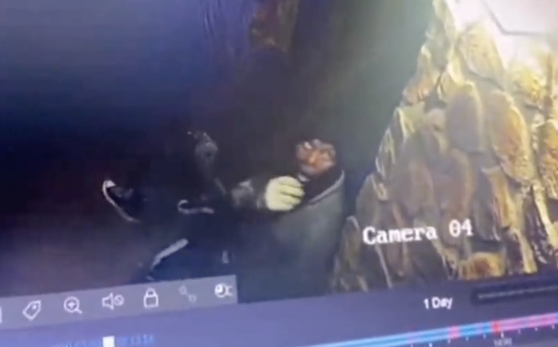 WATCH: EFF releases video of burglary at Ramaphosa's Phala Phala farm