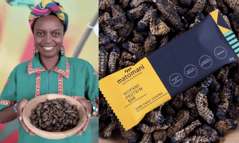 It's finally here: SA's first-ever mopane worm chocolate