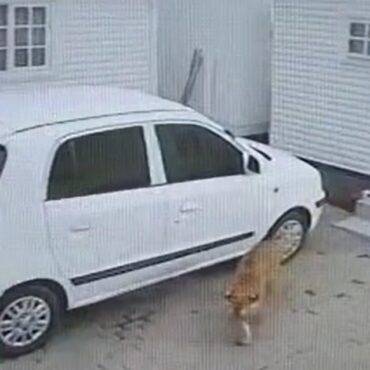 Family confirms the passing of Pretoria musician Vusi Ma R5