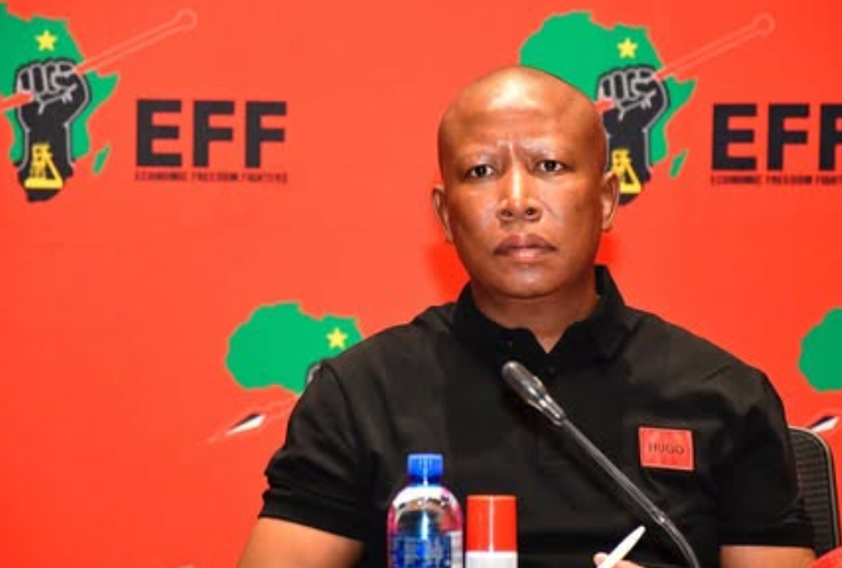 'He must go rot in jail, I don’t know him' – Malema distances himself ...